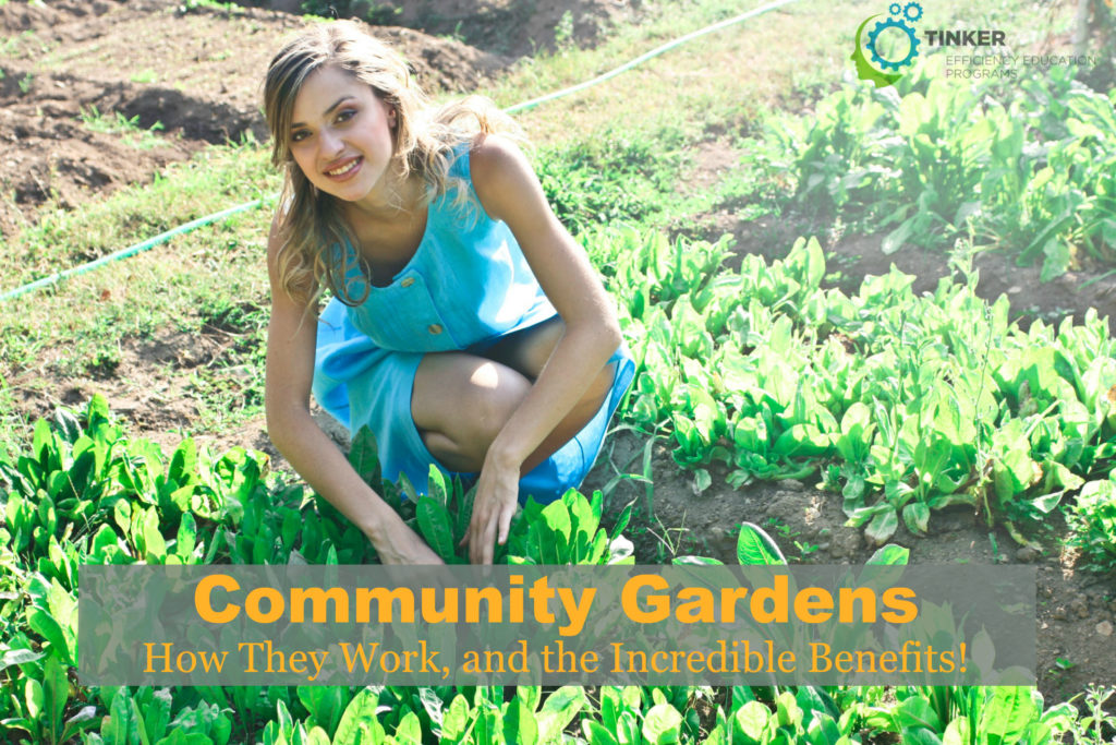 Community Gardens - How They Work, and the Incredible Benefits! - Tinker